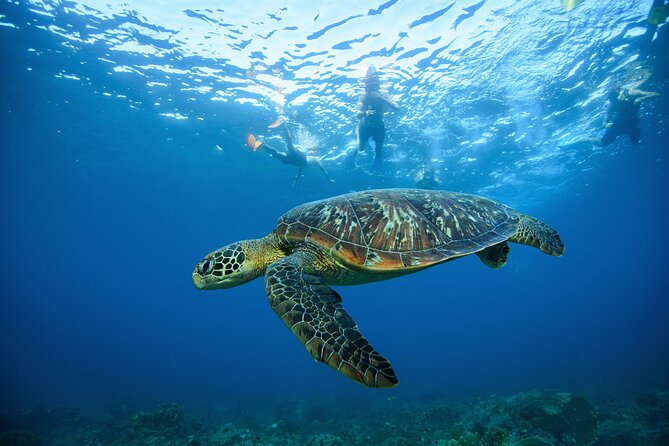 Nusa Penida day trip: boat, 4 snorkeling, Manta rays & Land tour - Who Should Consider This Tour
