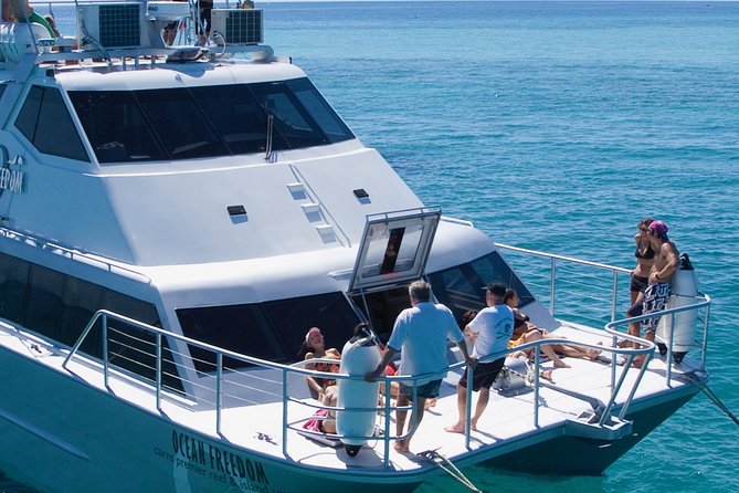 Ocean Freedom Great Barrier Reef Luxury Snorkel and Dive Cruise - FAQ