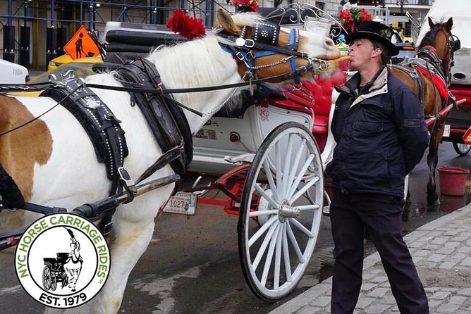 Official NYC Horse Carriage Rides in Central Park since 1979 - Final Thoughts: Who Will Love This Tour?