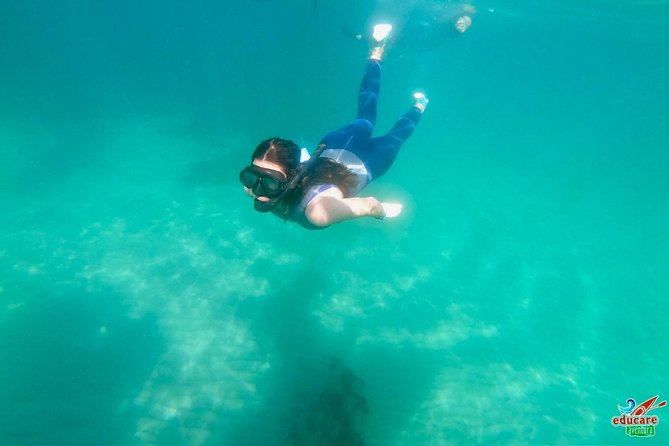 Paddle Surf Route Cliffs Nerja and Cascada de Maro + Snorkel - Authentic Insights from Reviewers