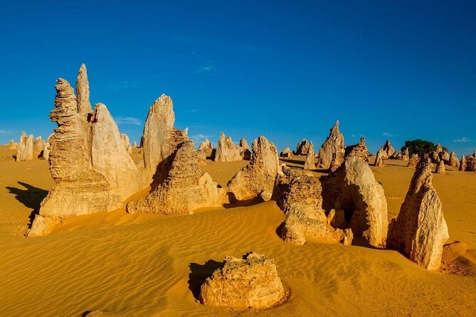 Pinnacles Desert Sunset Dinner and Stargazing Tour - FAQ