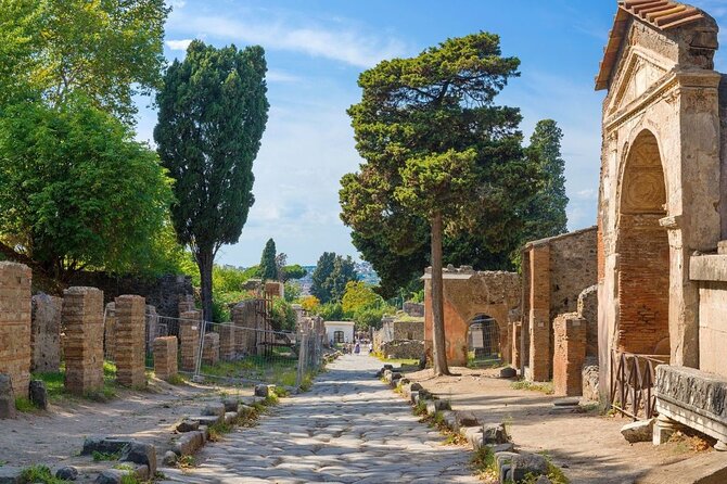 Pompeii & Naples Tour from Rome by Train, Includes Lunch - Who Will Get the Most Out of This Tour?