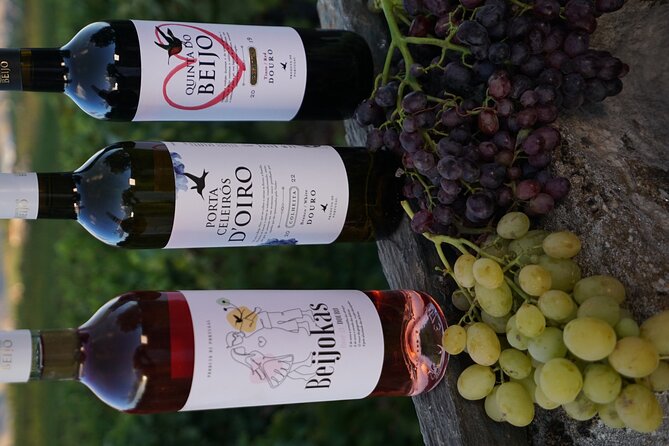 PREMIUM TASTING and TAPAS with GUIDED TOUR - Who This Tour Is Perfect For
