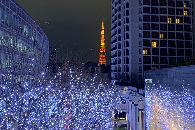 Private Custom Tour: Tokyo in a Day - Who Will Love This Tour?
