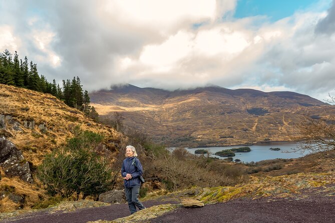 Private Luxury Ring of Kerry & Kerry Cliffs Tour from Killarney - The Sum Up