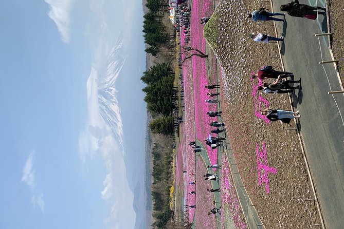 Private Sightseeing to Mt. Fuji and Hakone GREEN NUMBER PLATES - The Sum Up