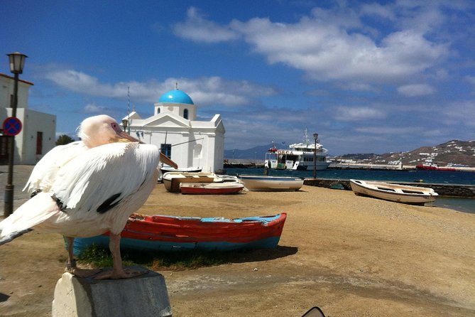 Private Tour: Mykonos Island in Half a Day - The Sum Up