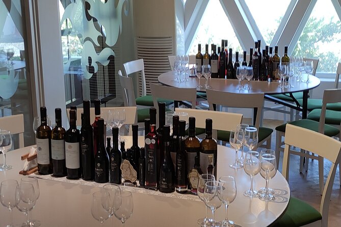 Private Wine Tour in 3 Wineries with 12 Wine Tastings and Tapas - Price and Value