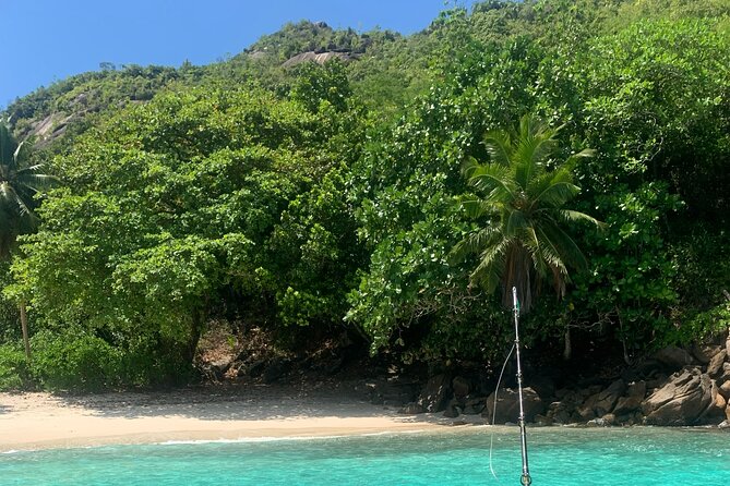 Reef Safari - Snorkeling, Fish Feeding & Lunch (Shared Day Trip) - Considerations for Travelers