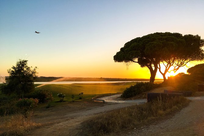 Ria Formosa Natural Park Birdwatching Segway Tour from Faro - FAQ