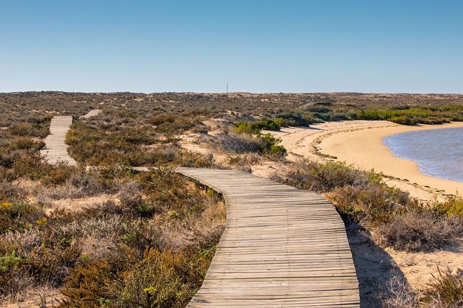 Ria Formosa: Private Boat Rental (from 2 to 8 hours) - Final Thoughts: Who Will Love This?