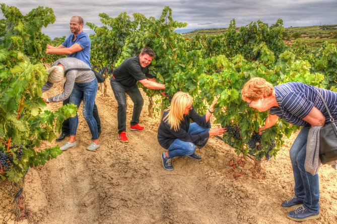 Rioja Alta and Rioja Alavesa Wine Tour - Final Thoughts