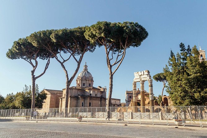 Rome Colosseum & Forum PRIVATE TOUR with a Local Private Guide - The Experience of Other Travelers