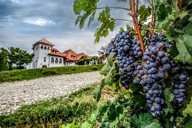 Salt Mine, Lunch at Winery and Dracula Grave - Private Tour - The Sum Up