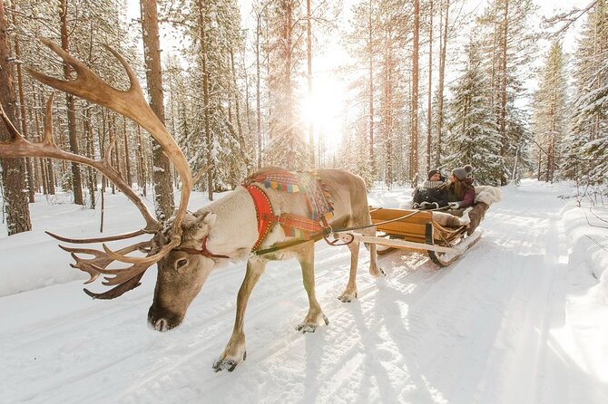 Santa's Reindeer & Husky Safari + Santa's Pets + Aurora Hunt! - FAQ