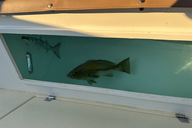 Santorini Fishing Private Cruise boat tour - BBQ, Snorkeling - Frequently Asked Questions