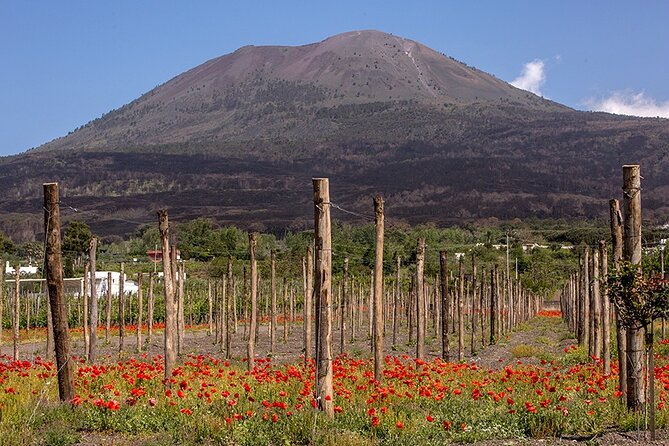 Scenic Wine Tasting & Lunch on the Slopes of Vesuvius from Naples - The Sum Up: Who Will Love This Tour?