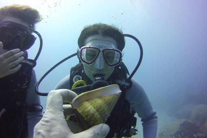 Scuba Diving Beginner's Session in Costa Adeje - What We Loved Most