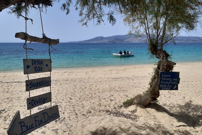 Scuba Diving in Naxos by Bluefindivers - Dive in Greece - Amazing Diving Spots - Timing and Group Dynamics