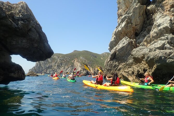 Sesimbra Discovery by Kayak - Who Should Consider This Tour?