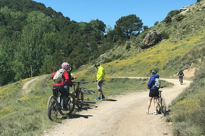 Sierra Nevada Ebike Tour Small Group - The Sum Up