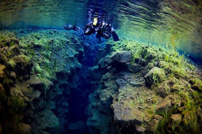 Silfra Fissure Snorkeling From Reykjavík - Free Underwater Photos - The Value and Price Considerations