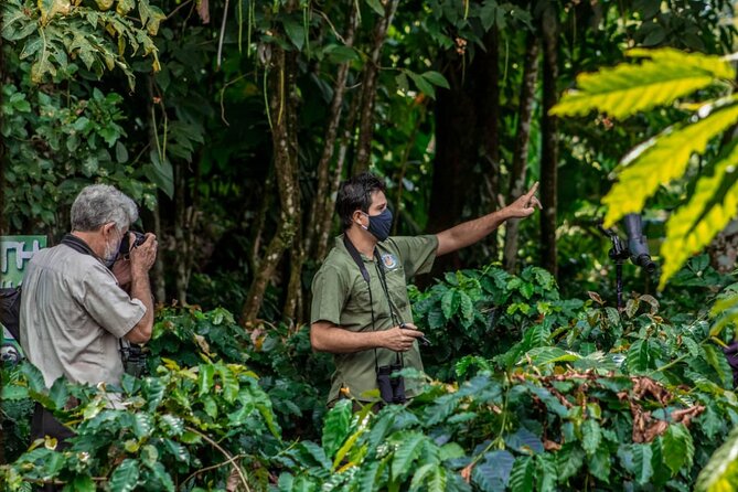 Sloth Watching Tour - What You Need to Know Before Booking