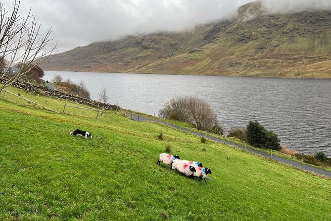 Small Group Aughnanure Castle, Sheepdog Demo & Connemara Tour - Cong Village: A Quaint Irish Stop