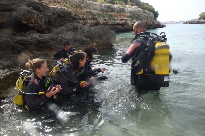 Small Group Diving Adventure in Menorca - The Sum Up