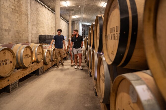 Small Group Douro Valley Wine Tour with Lunch and Cruise - Authenticity and Value