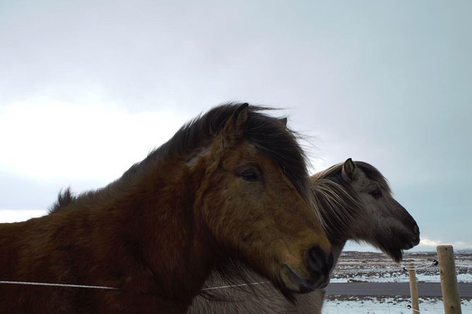 Small-Group Golden Circle Full-Day Tour from Reykjavik - Practical Details & Tips
