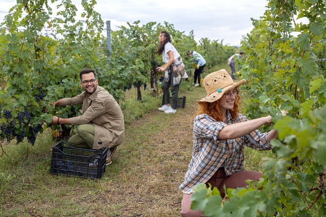 Small Group Pasta Making Class Wine Tasting in a Tuscan Castle - Frequently Asked Questions
