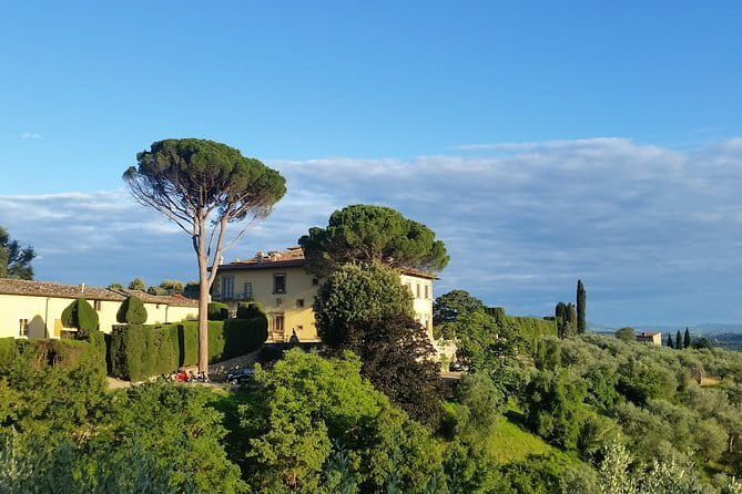 Small Group Wine Tasting in Tuscany with Vineyard Visit - Authentic Experiences and Customer Praise