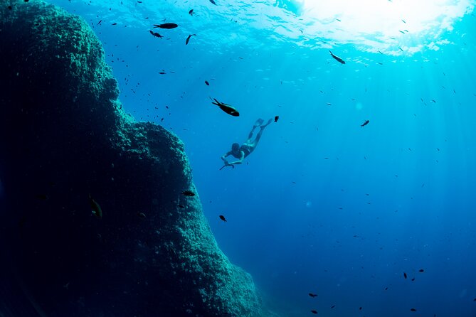 Snorkeling with Marine Biologist Expert from Sorrento - Itinerary Breakdown