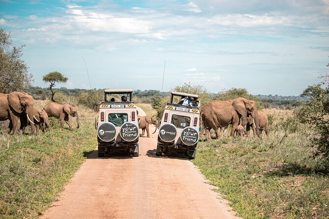Tanzania Classic - 7 Days - Day 6: Ngorongoro to Tarangire