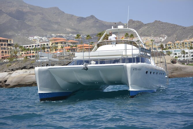 Tenerife Sunset Catamaran tour with transfer - Food and Drinks included. - The Final Word