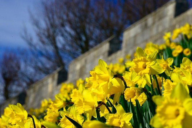 The Best of York on Foot in a Small Group - Why You’ll Love This Tour
