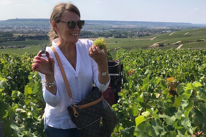 The Connoisseurs from Epernay (Private Half day Champagne Tour) - Final Thoughts