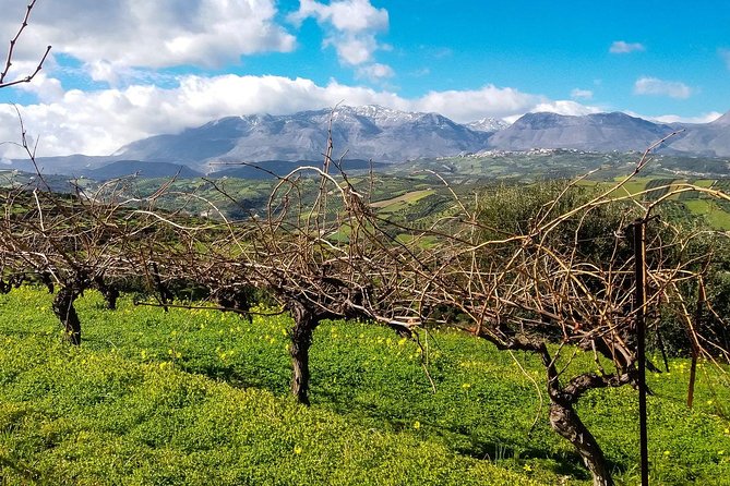 The Gourmet Wine Tour of Heraklion area - FAQ