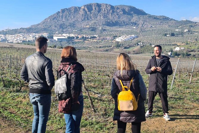 TOP WINE TOUR- Vineyard & cellar visit + 6 top wines + tapas - Transportation & Logistics