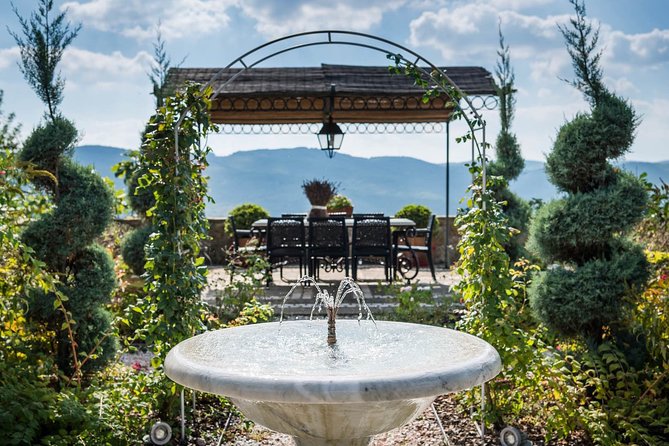 Tour and Tasting at an Organic Winery in the Heart of Chianti Classico Area - The Challenges