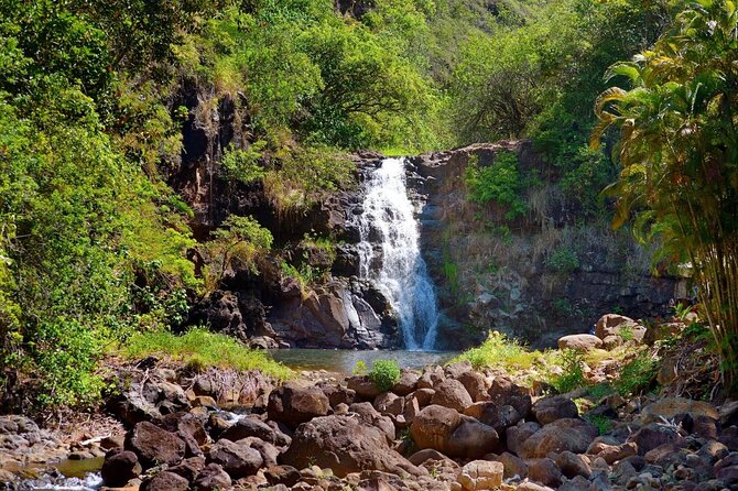 Tour of North Shore & Waimea Waterfall - Tasting the North Shore’s Famous Shrimp