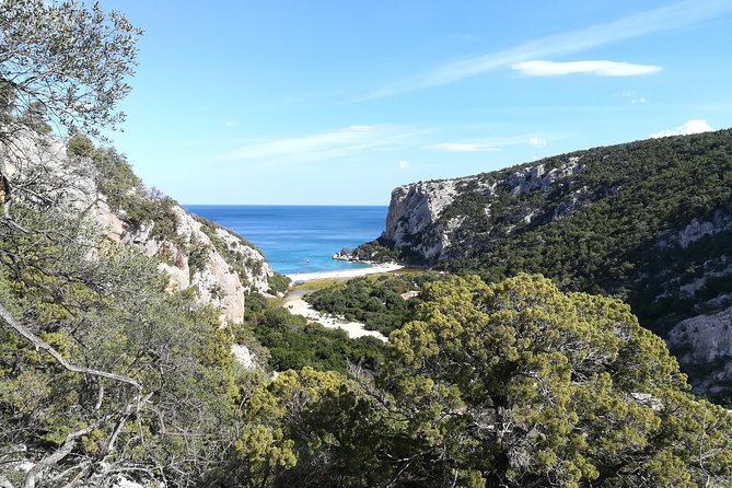 Trekking to Cala Luna the pearl of the Gulf of Orosei - Frequently Asked Questions