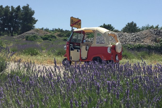 Tuk Tuk Sightseeing Tour of Hvar - Why It’s a Top Choice