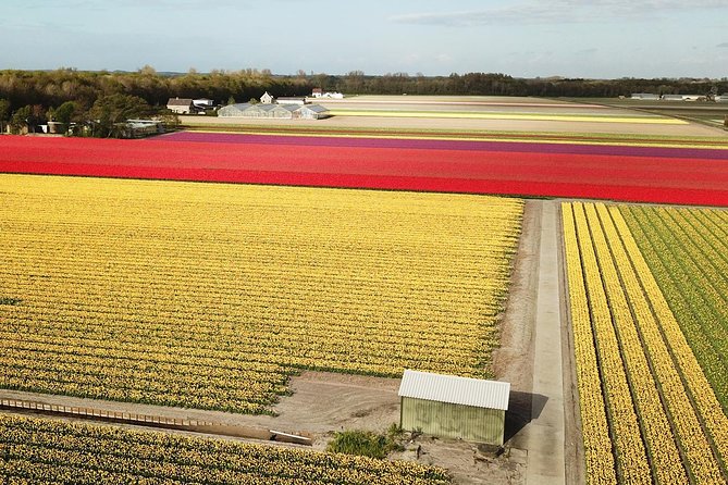 Tulip Fields Tour near Keukenhof - Self-drive with Audio Guide - Frequently Asked Questions