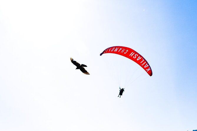 Two-seater paragliding flight in Chamonix - Authentic Feedback from Participants