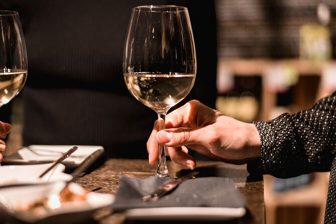 Viennese Wine Tasting in a Private Hidden Wine Cellar - Accessibility and Practicalities
