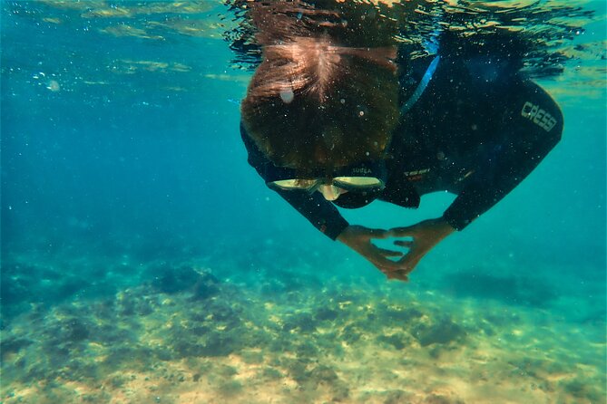 Visit Secret Caves, Hidden Beaches and Snorkel in Alvor, Portugal - FAQ