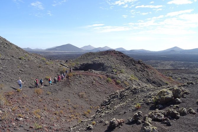 Volcano Trekking Tour (Timanfaya eruptions) - The Sum Up: Is This Tour Right for You?
