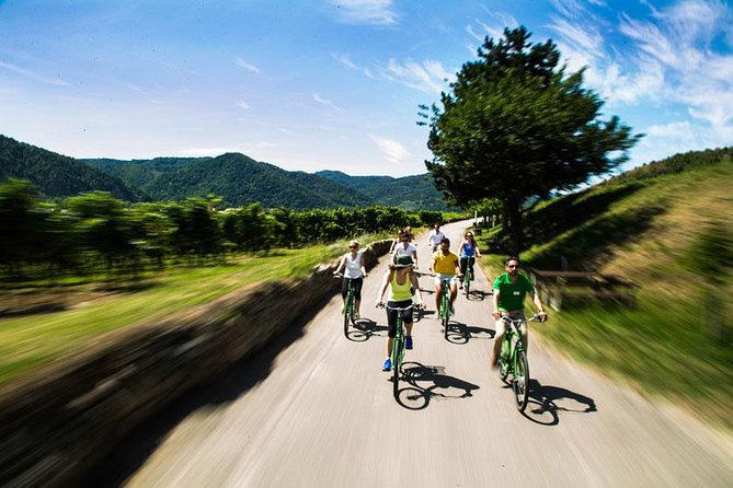 Wachau Valley Wine Tasting Bike Tour from Vienna - The Sum Up